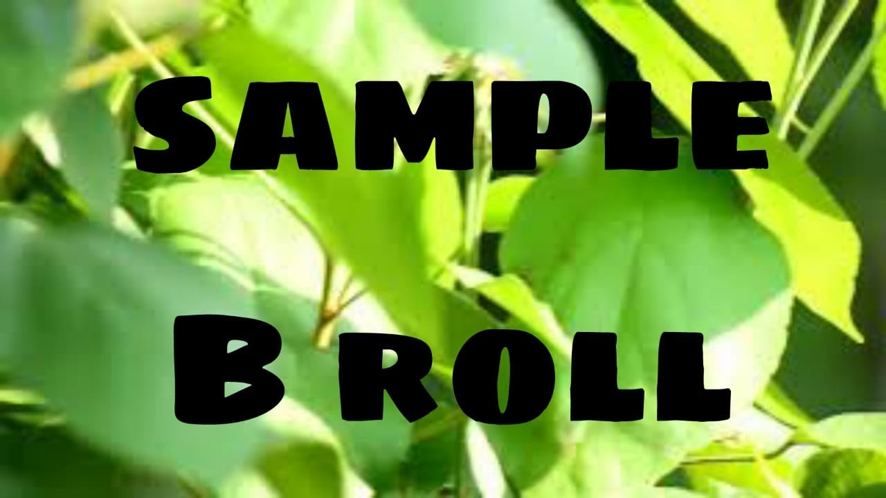 SIMPLE BROLL SAMPLE VIDEO I - YouTube