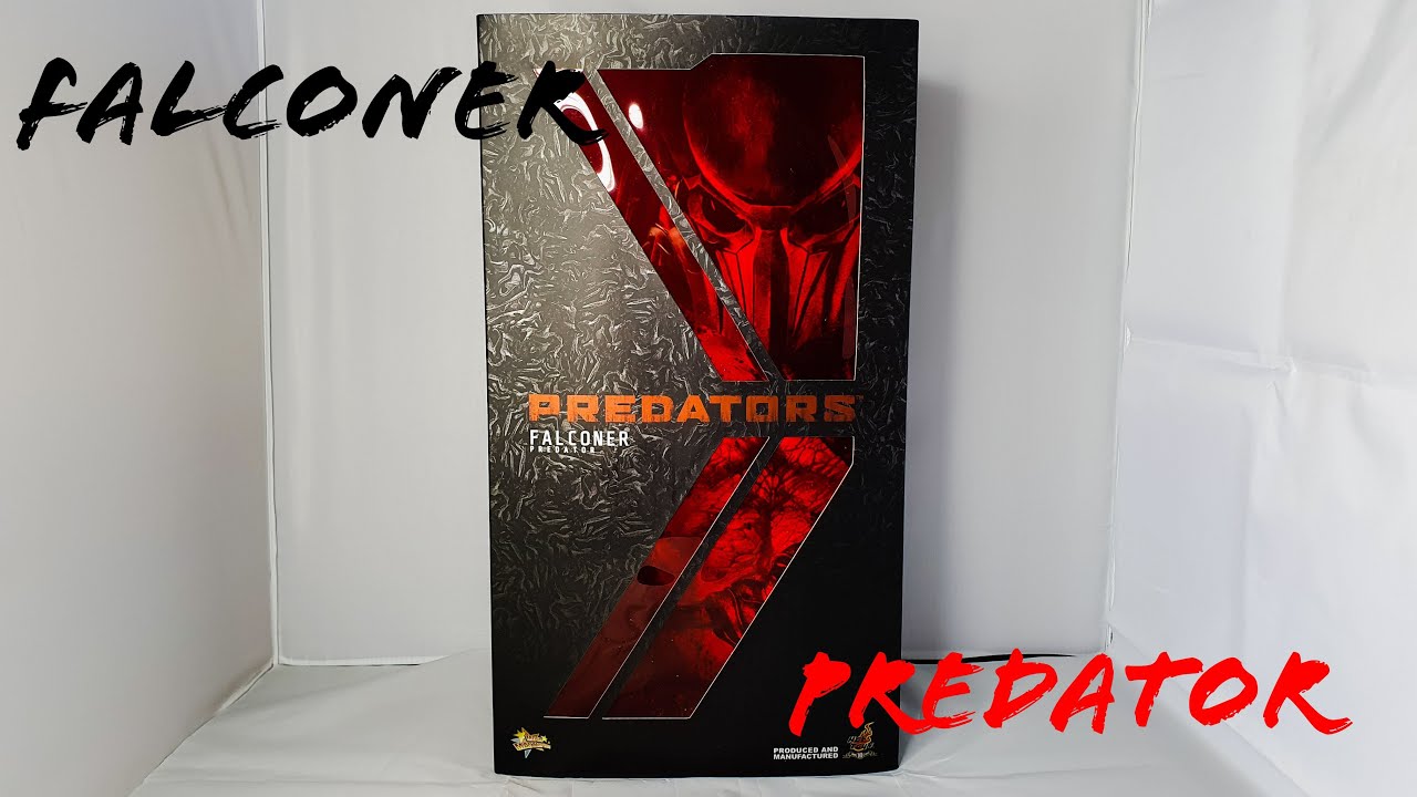 Falconer Predator - YouTube