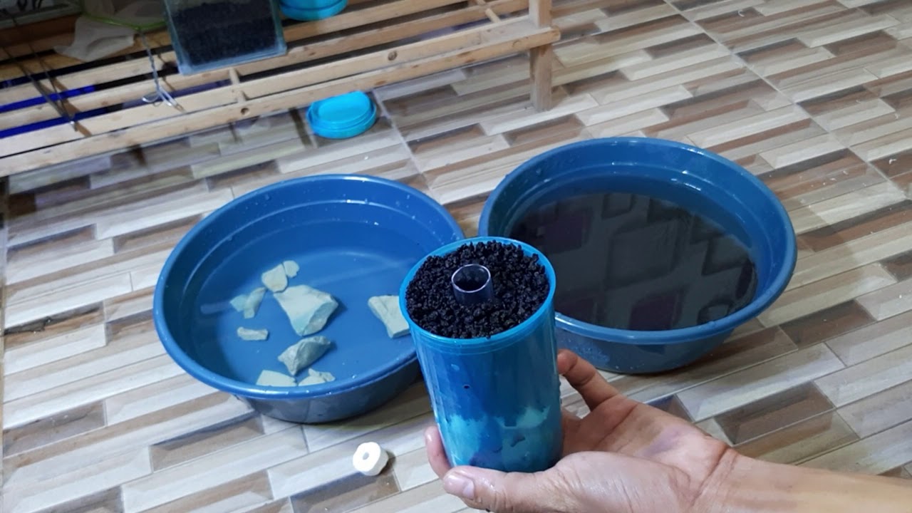 Cara membuat Filter aerator - YouTube