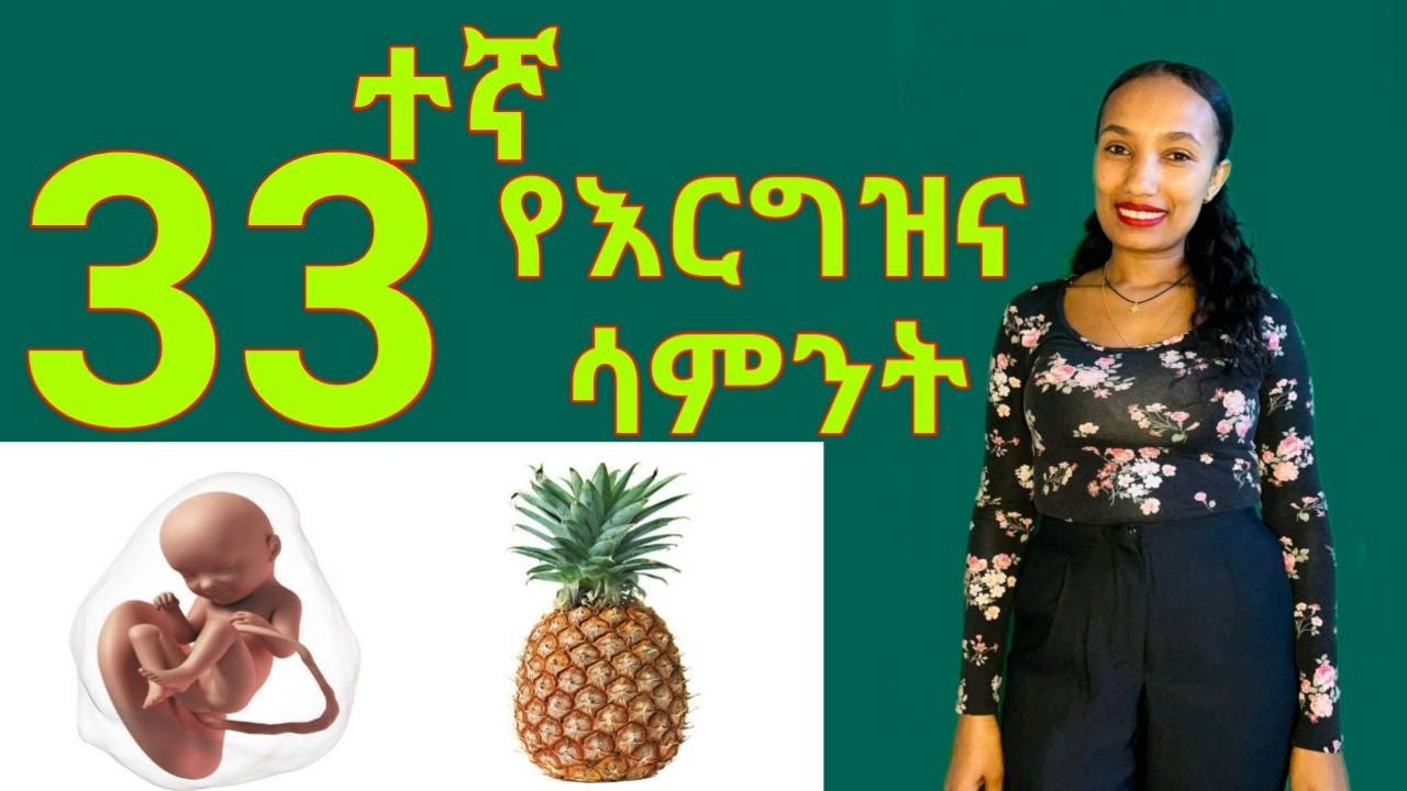 የእርግዝና ሰላሳሶስተኛ ሳምንት // 33 weeks of pregnancy ;What to Expect - YouTube