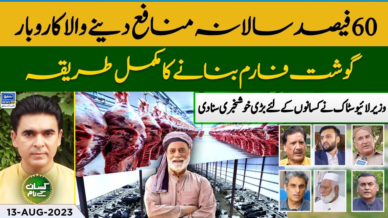 Feedlot Fattening Business in Pakistan | Meat farm | Kissan Kay Naam ...