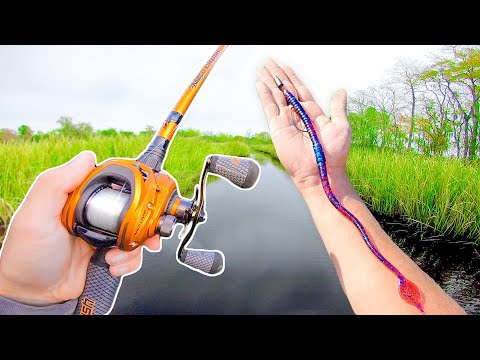 RECORD Day of BIG Worm Fishing! (LOADED w/ Bass)