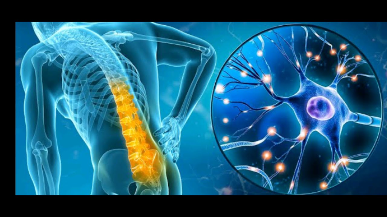 Les ondes alpha guérissent les dommages dans le corps en 4 minutes - La ...