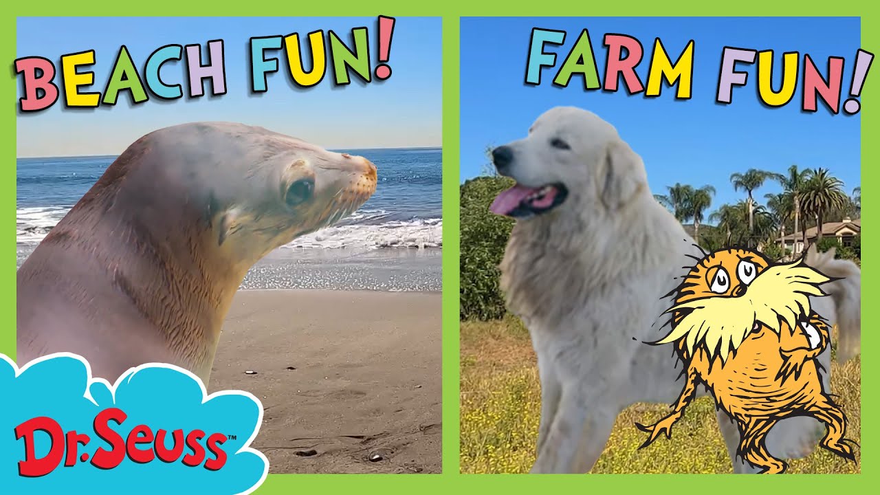 Beach Adventures & Fun Farm Animals! | The Lorax Nature Keepers Club ...