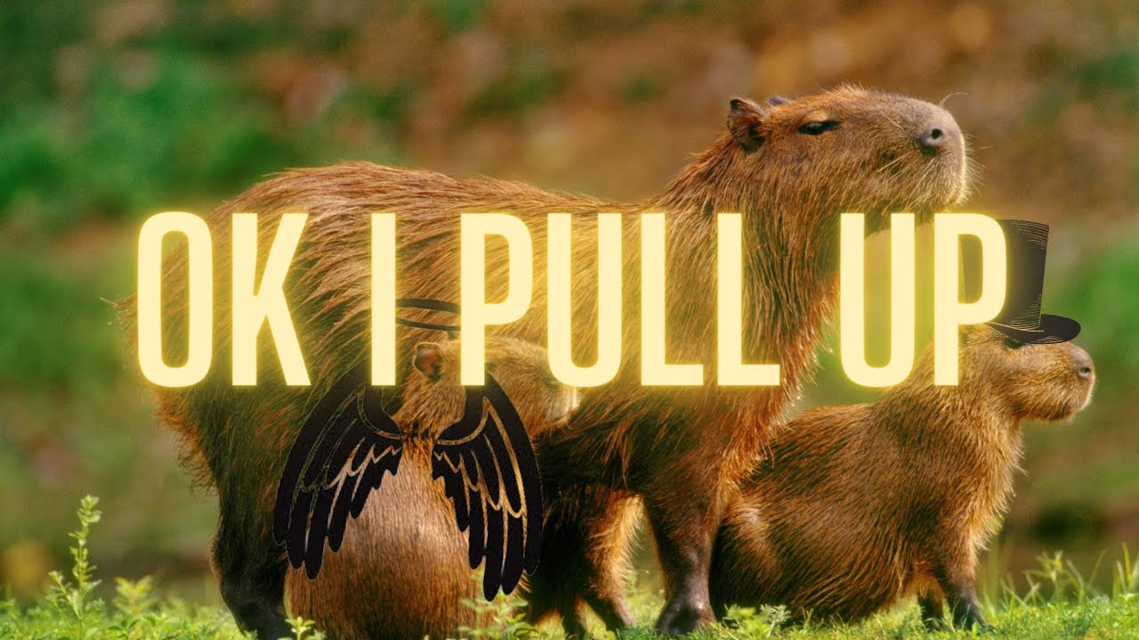 I Pull Up [Capybara Music Video] - YouTube