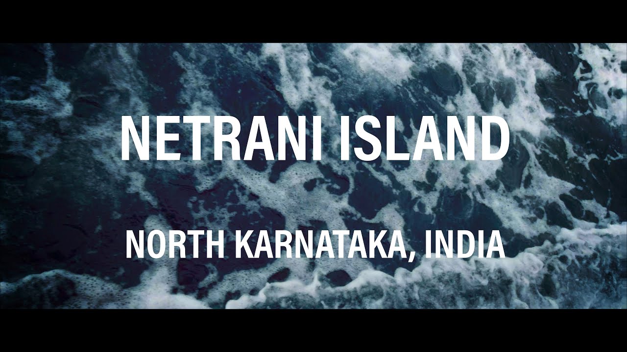 SCUBA DIVING - North Karnataka, INDIA - Netrani Island - Osmo Action ...