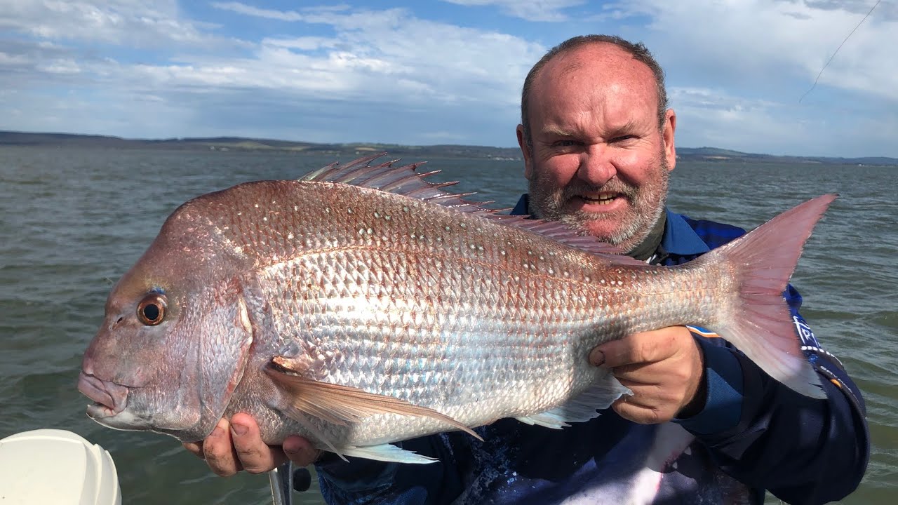Awesome Westernport Snapper and Gummy on a windy afternoon! - YouTube
