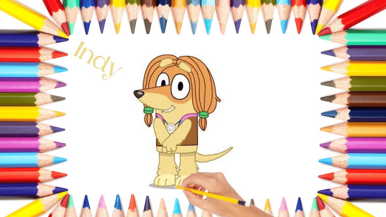 How to draw INDY, Bluey and Bingo friend! - YouTube