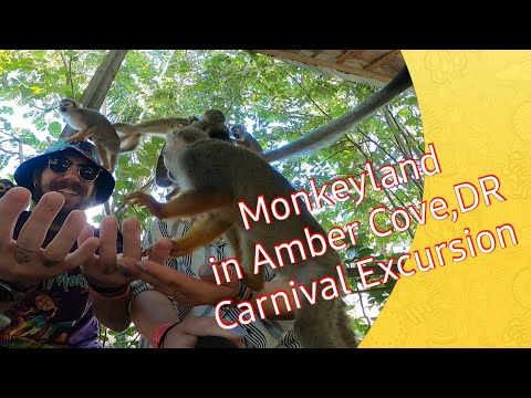 🐒Monkeyland Excursion - Amber Cove, Dominican Republic - Carnival Horizon 8 night - YouTube