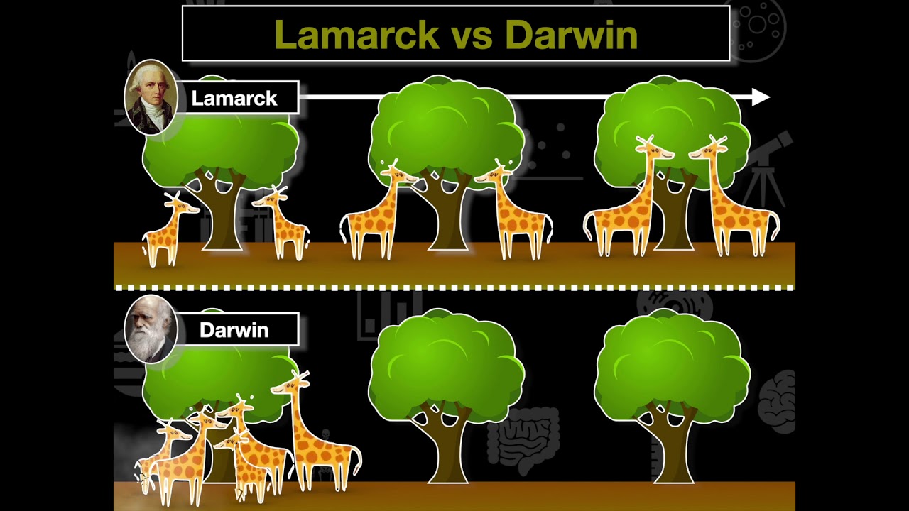 Influences of Darwin - YouTube
