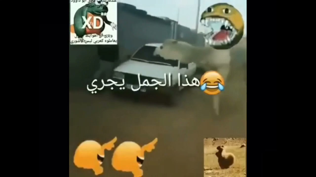 ¿Qué es el shitpost arabe? - YouTube