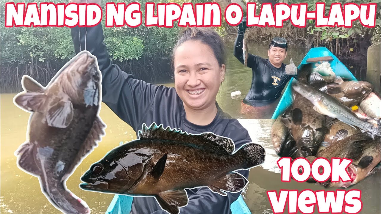Maraming sinisid na Lipain o Lapu-lapu/Isda huli sa pasipsip - YouTube