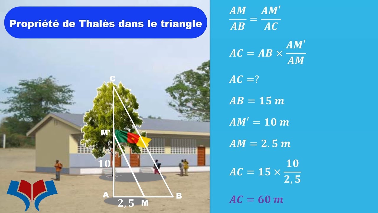 Comprendre la Propriété de Thalès dans un Triangle - YouTube