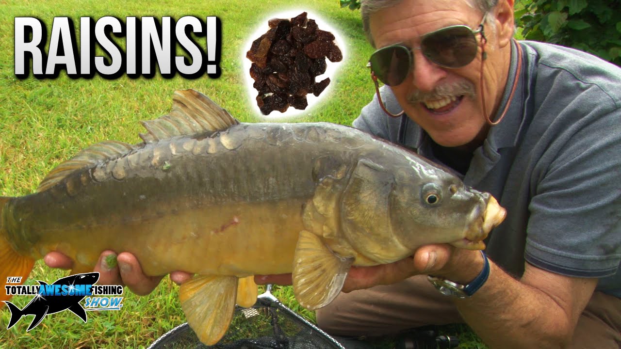 Epic! Fishing with RAISINS! | TAFishing - YouTube