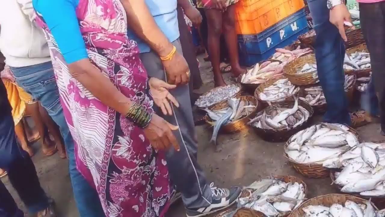 Dapoli-Harnai Beach Fish Market - YouTube