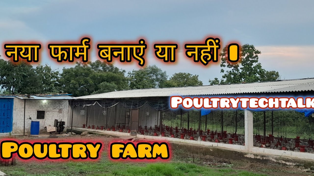 नया फार्म बनाएं या नहीं I poultry farm #poultrytechtalk #poultry rate ...