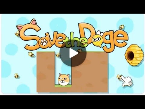 Save the doge ,🐕🐶(--All levels--)💫💫 - YouTube