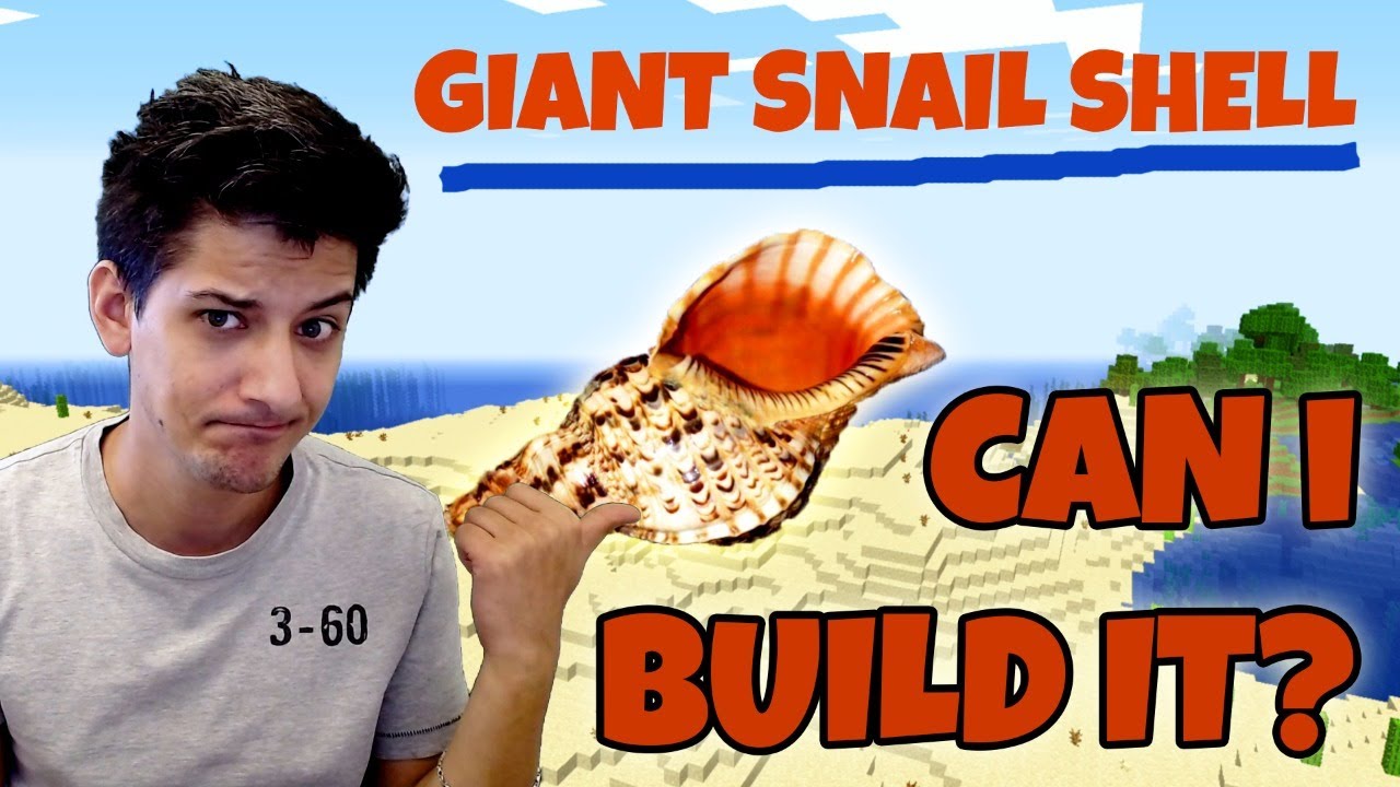 Can I build a Sea Snail Shell? - My most complex Minecraft idea - YouTube