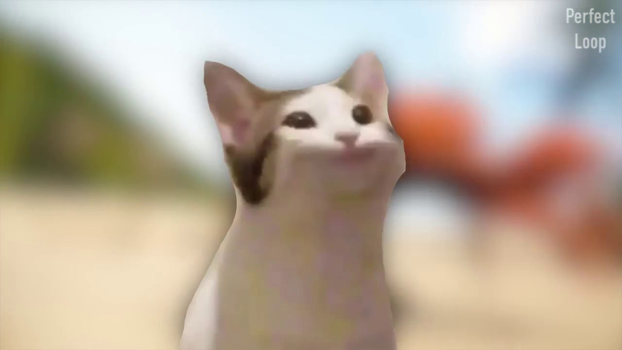 Cat Rave 10 Hours - YouTube