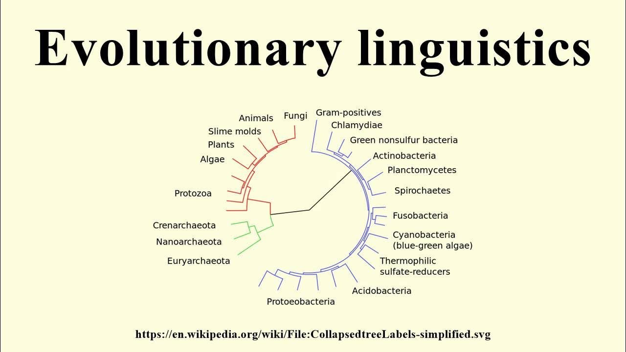 Evolutionary linguistics - YouTube