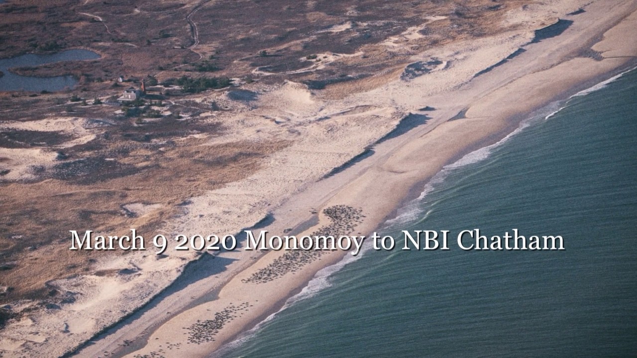 March 9 2020 Monomoy to North Beach Island Chatham MA - YouTube