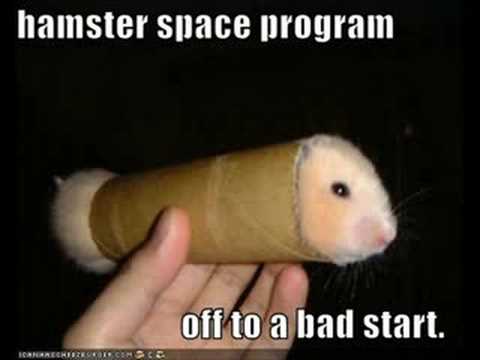 Hamster Dance song remastered - YouTube