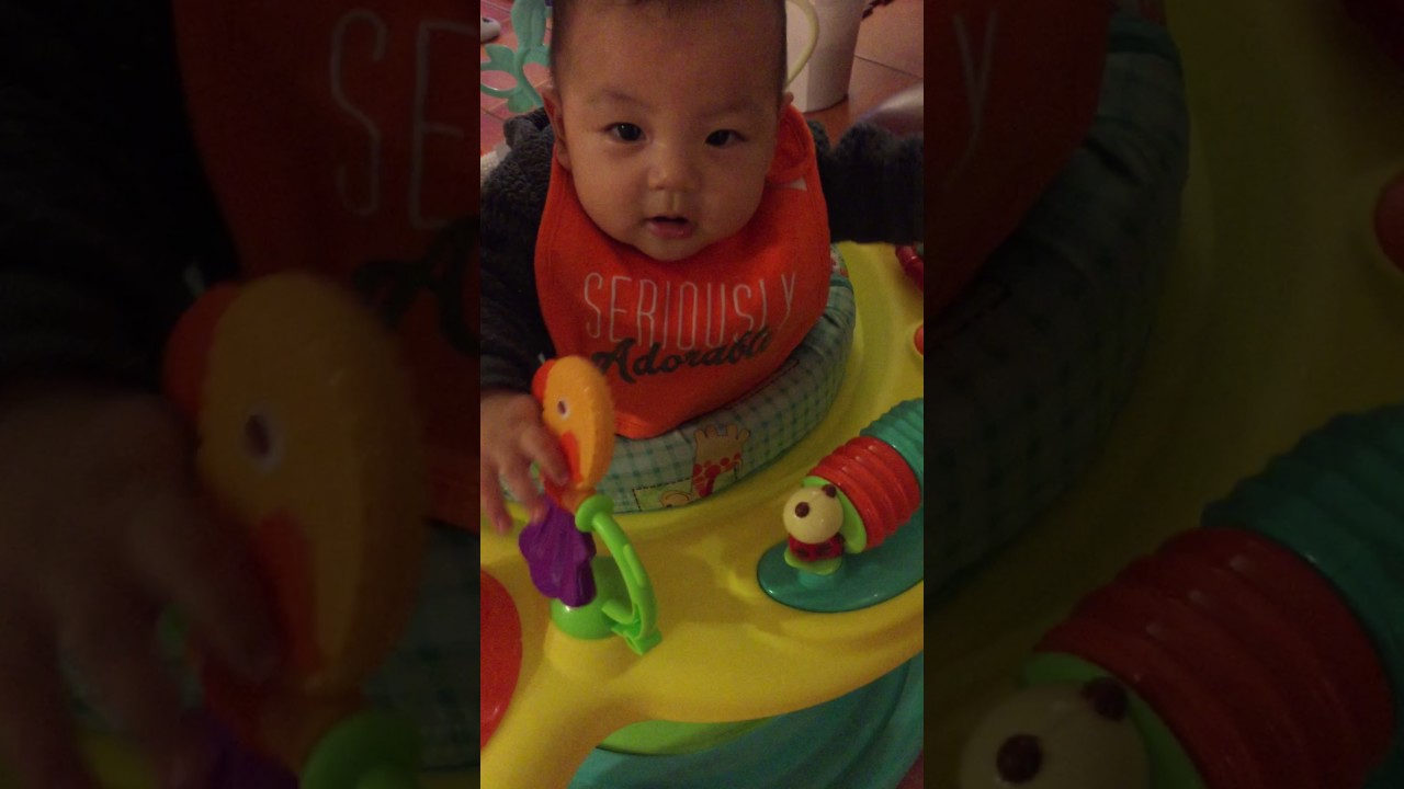 Baby Joey - 12142016 -10 - YouTube