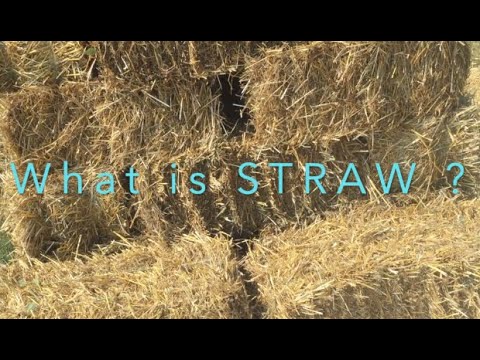 What is Straw and how is it made? - YouTube
