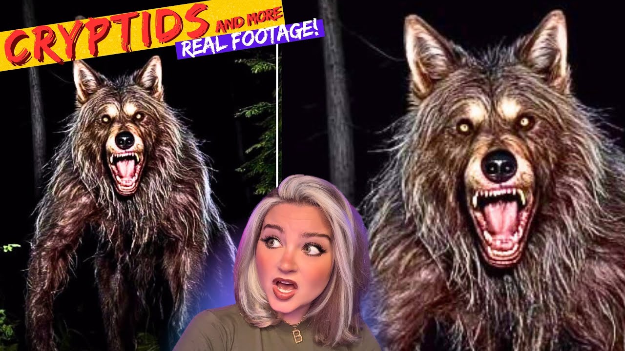 Hauntingly Creepy CRYPTIDS Caught on Camera 2025 *SCARY Videos* - YouTube