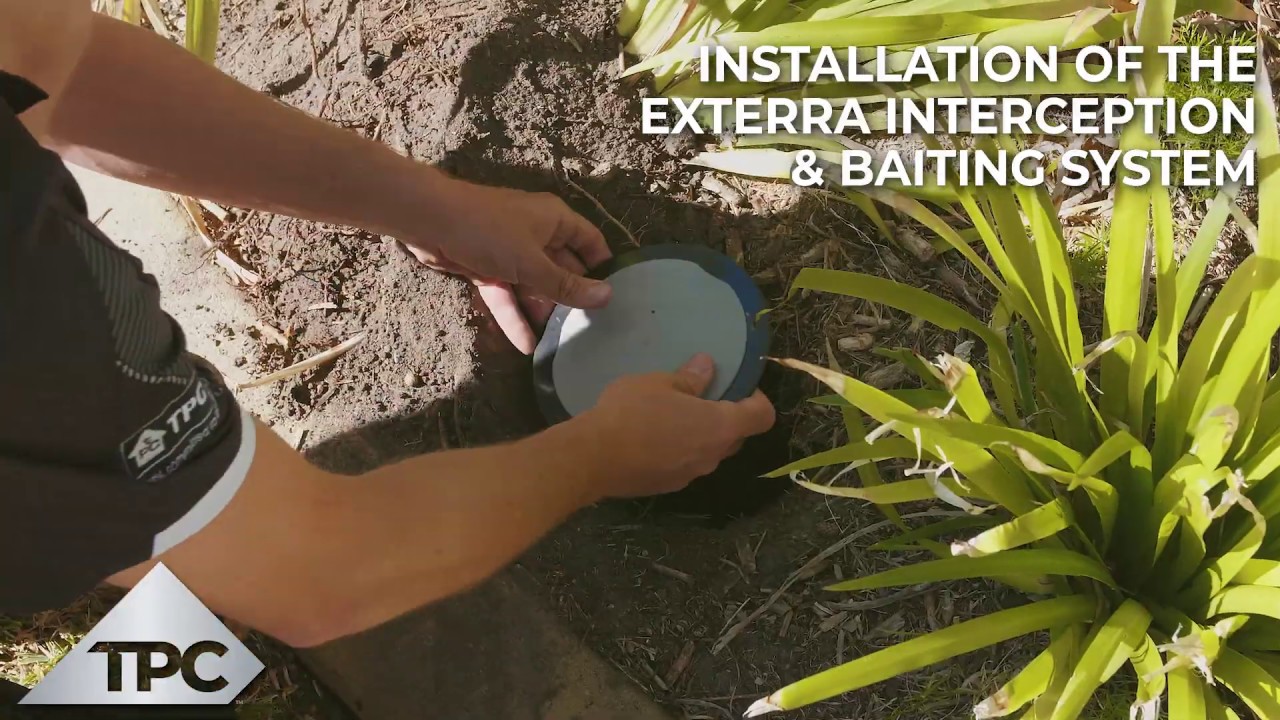 The Pest Company | Exterra Interception & Baiting System Installation ...
