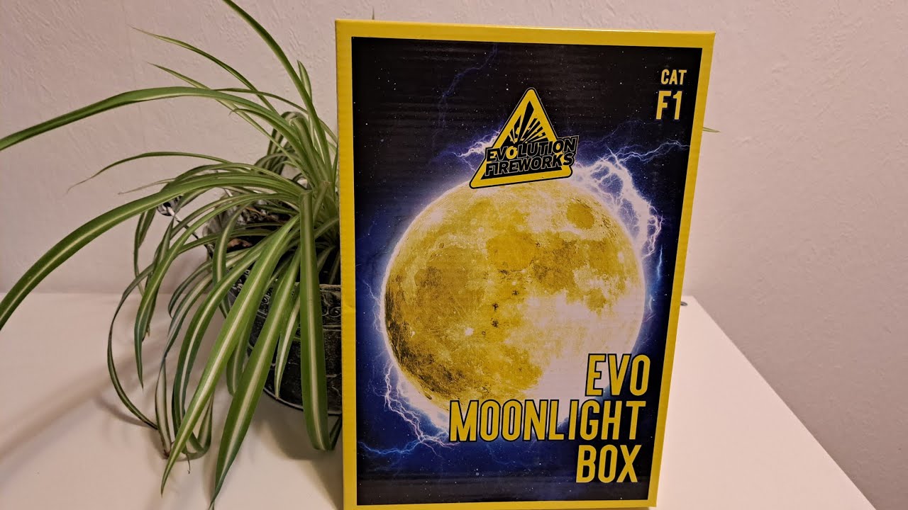 Evo moonlight Box F1 Sortiment - YouTube