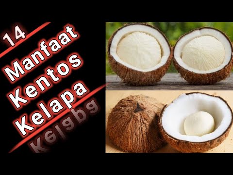 14 Manfaat Kentos Kelapa - YouTube