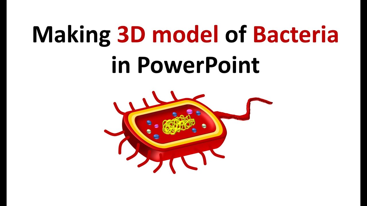 3D model of bacteria in PowerPoint | Scientific Illustrations - YouTube