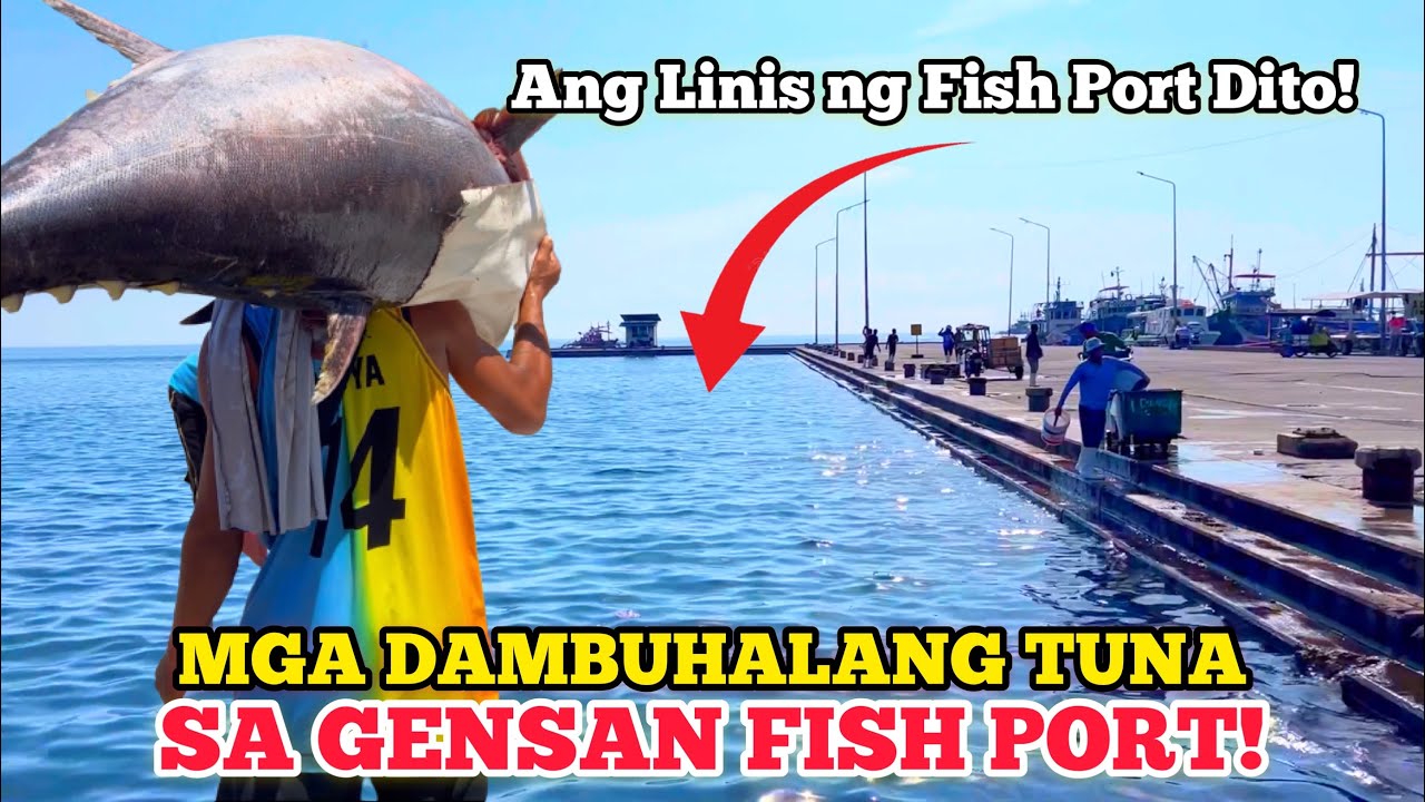MGA DAMBUHALANG TUNA SA GENSAN FISH PORT! HANEP ANG LINIS NG FISH PORT ...