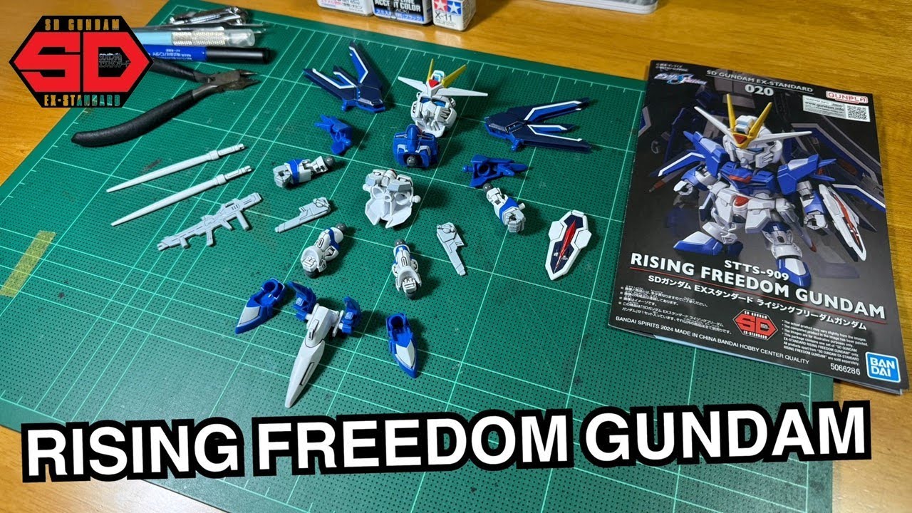 Build & Review : SDEX Rising Freedom Gundam - YouTube