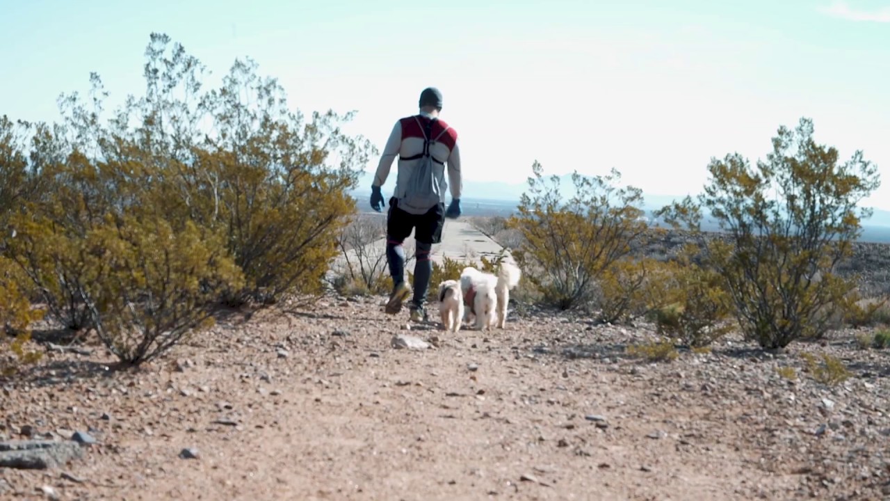 Lazy Cow Trailhead - YouTube