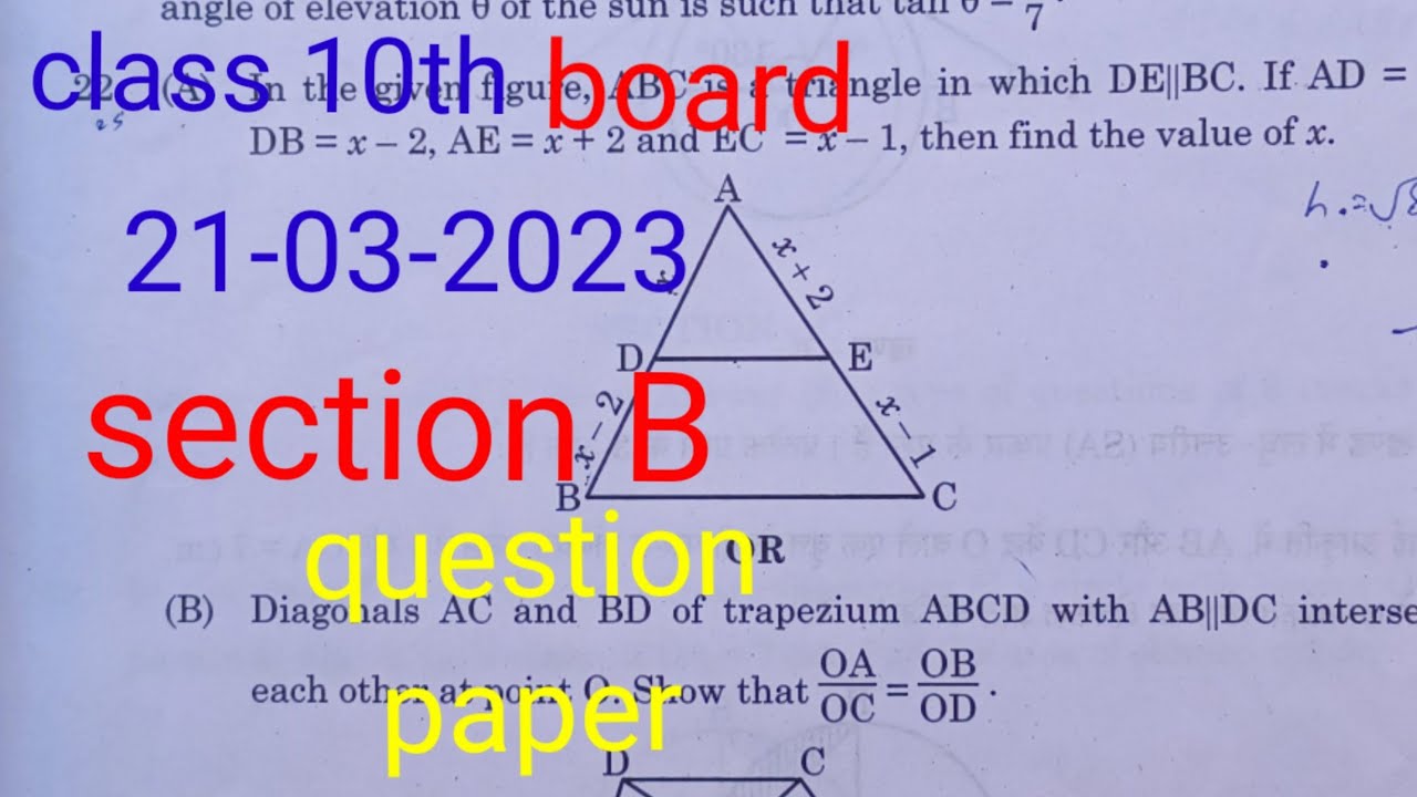 Cbse Class 10th math exam 2023 section B questions - YouTube