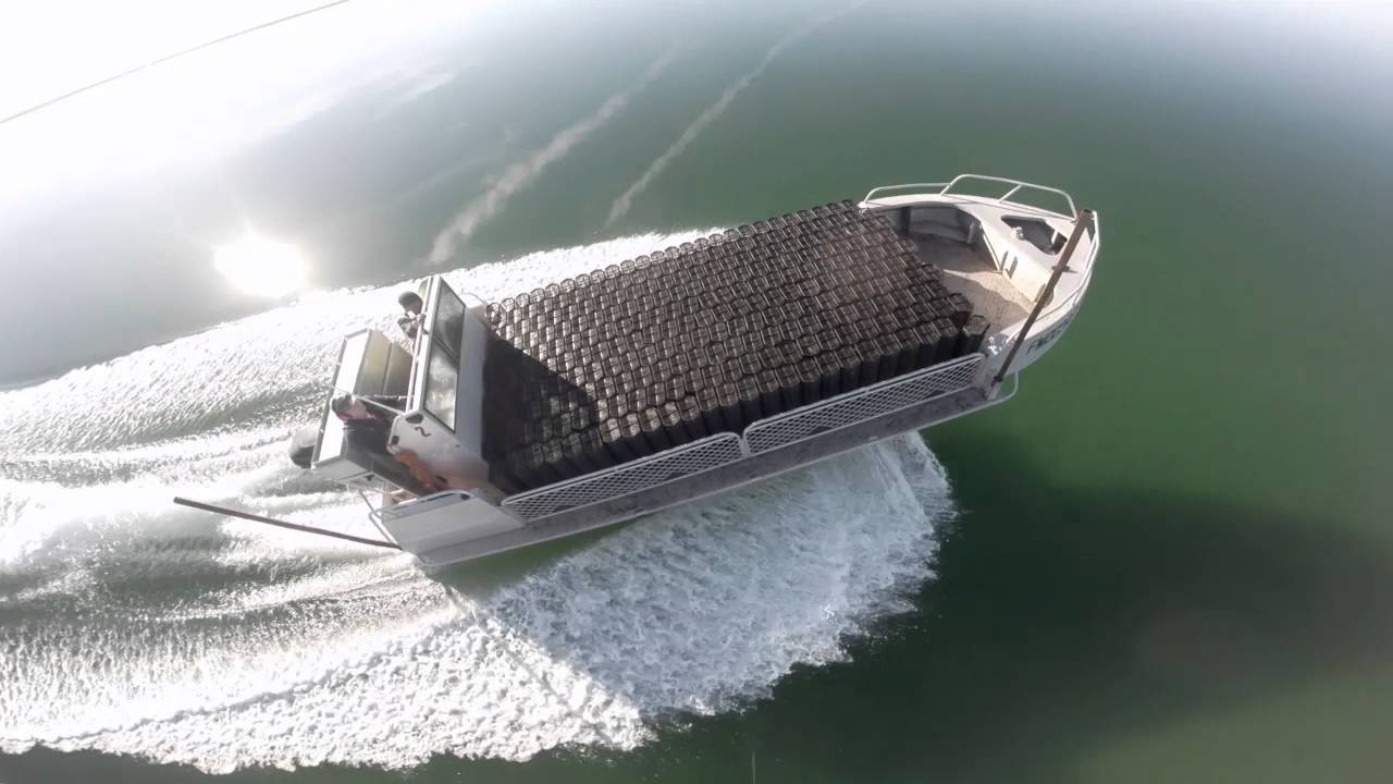 Hexcyl Pro Series - 10mm Shellfish Basket - YouTube