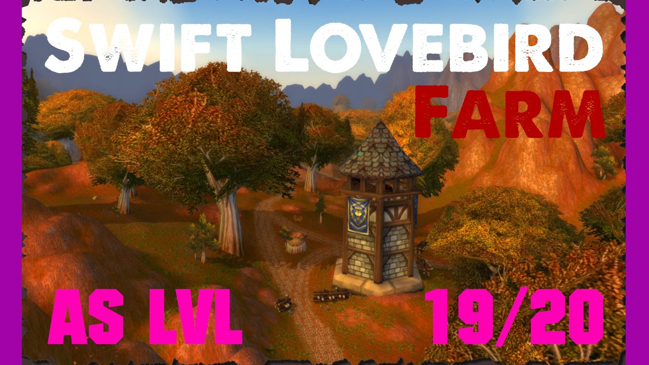 Farming Swift Lovebird // Lvl 19 & 20 Guide - YouTube