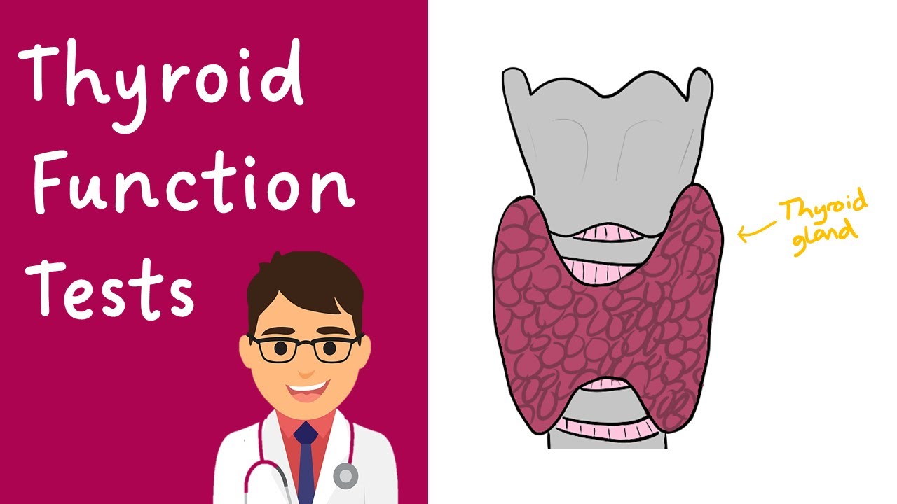 Thyroid Function Tests TFTs Explained COMPLETE GUIDE In 4 Minutes Thyroid Function Tests TFTs Explained COMPLETE GUIDE In 4 Minutes