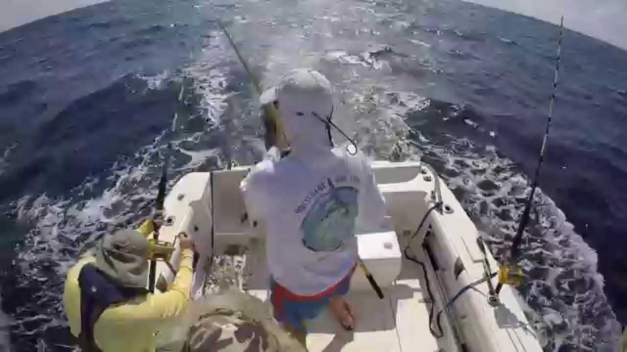 Round coast of Aruba fishing Picuda & Mahi-Mahi - YouTube