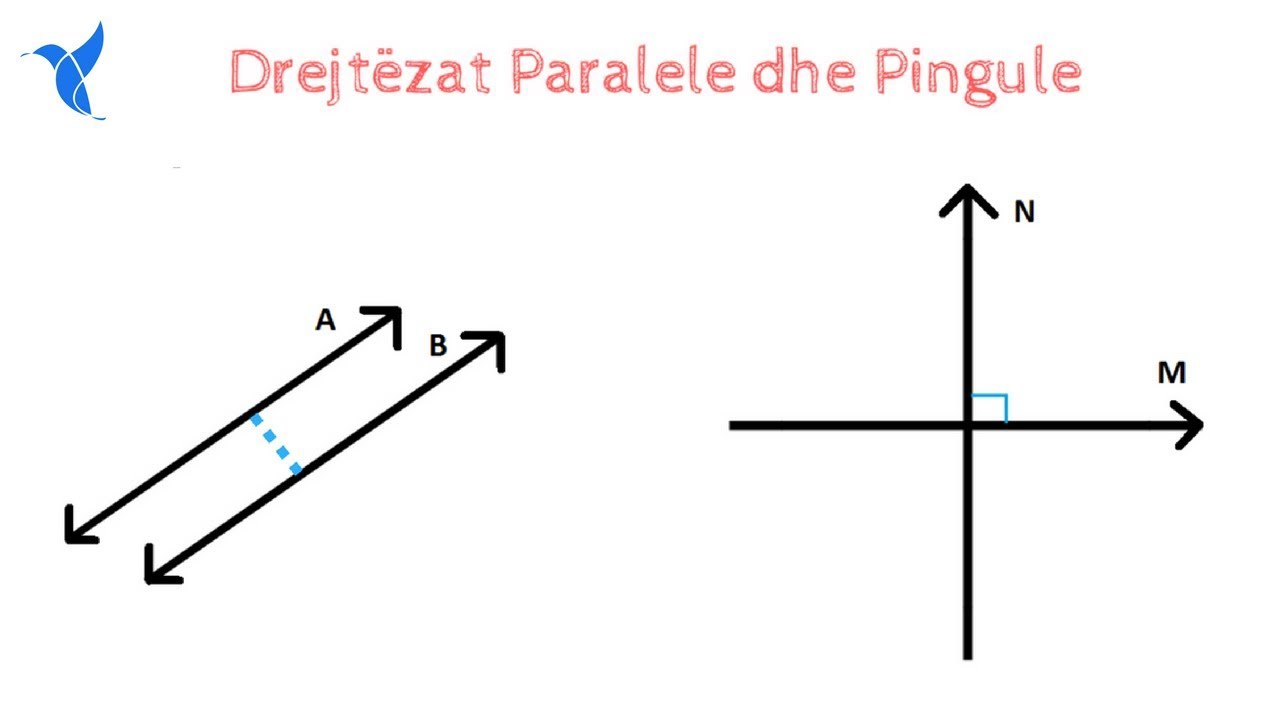 Drejtëzat paralele dhe pingule - YouTube