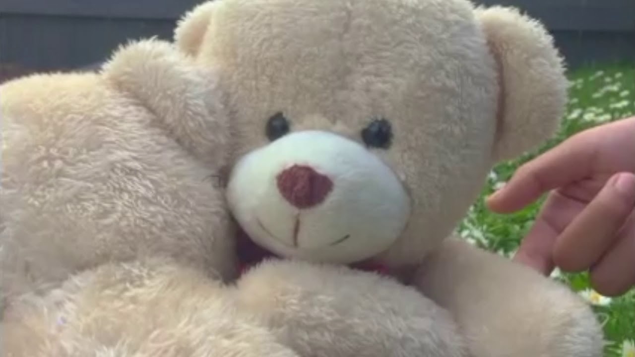 The Careless Teddy Bear - YouTube