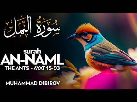 Surah An Naml (سورة النمل) AYAT 15-93 - محمد ديبيروف | Muhammad Dibirov | Quran Recitation (4K)