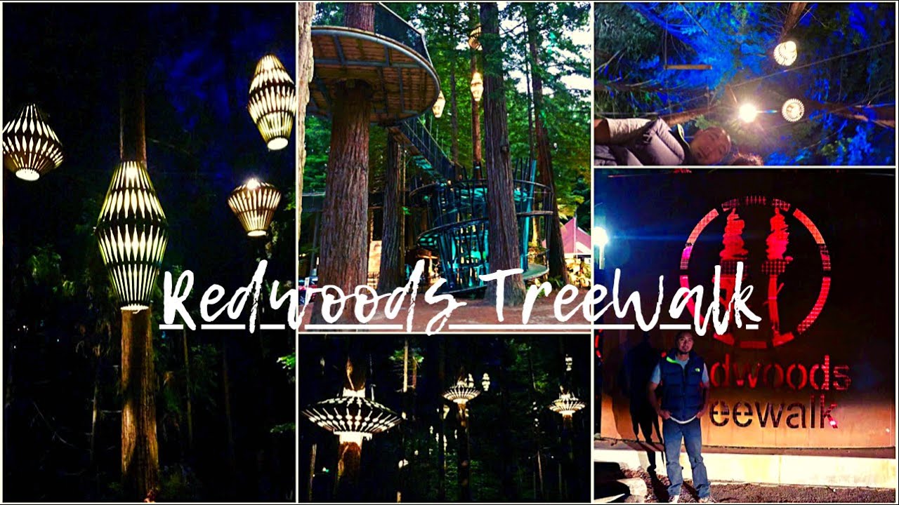 Rotorua Redwoods TreeWalk at Night || Magical NightLights TreeWalk ...