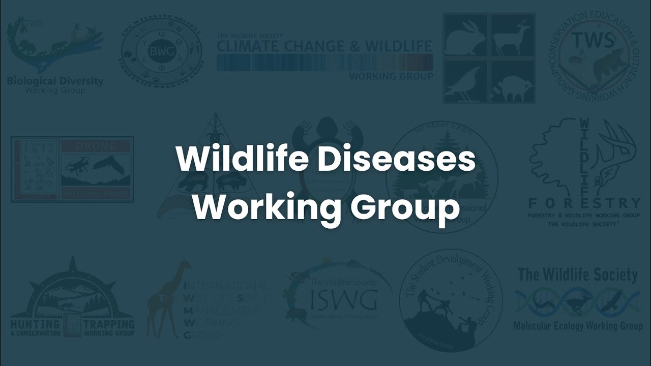 Field Biosafety Levels: A Risk-Based Solution Across Scientific ...