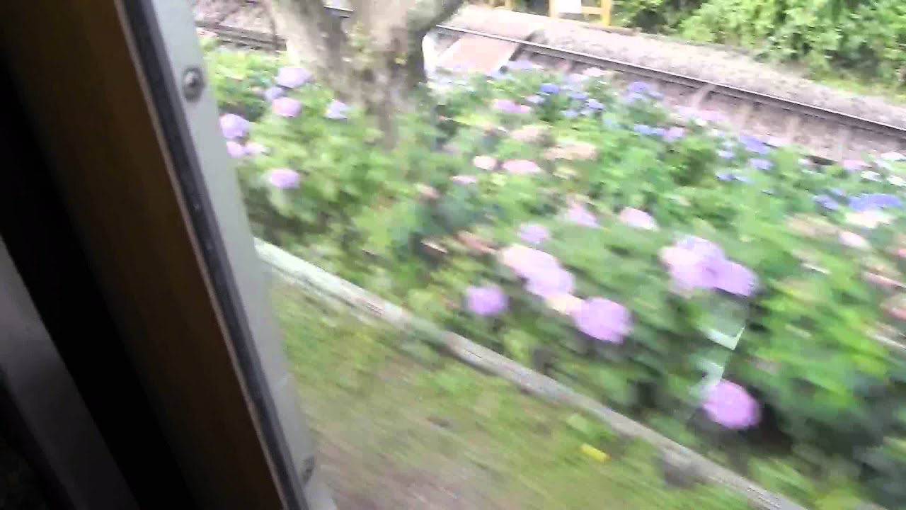 Hydrangea train, Hakone - YouTube