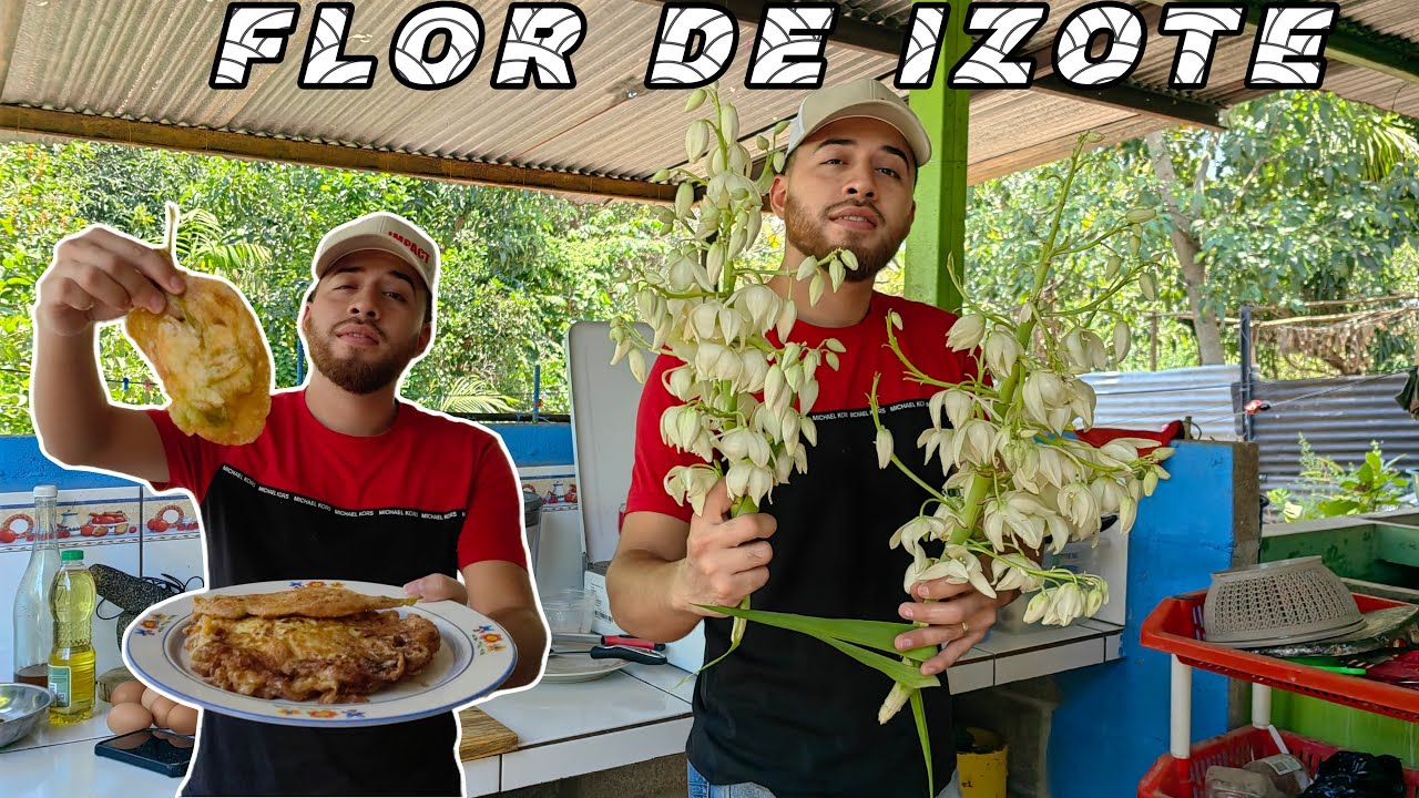Como preparar flor de izote envuelta en huevo por primera vez 😎🇸🇻🇲🇽 ...