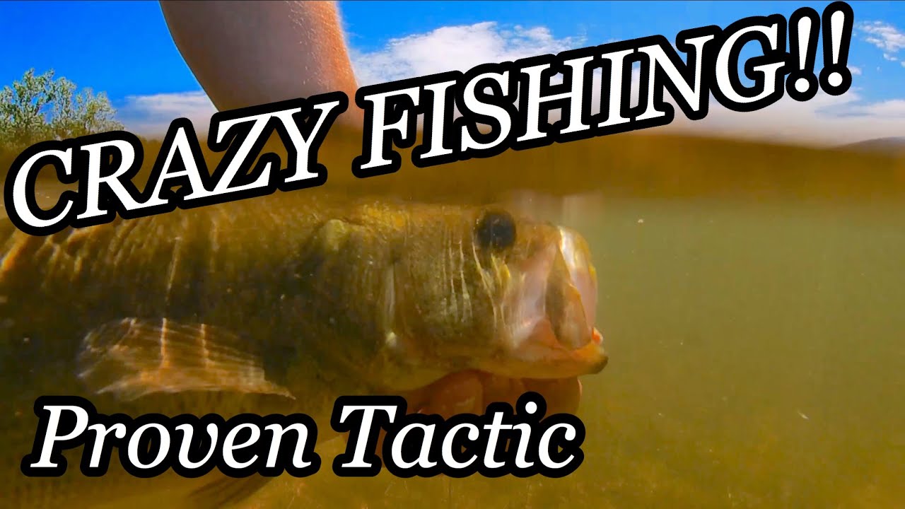 CRAZY FISHING!! With a proven tactic. - YouTube