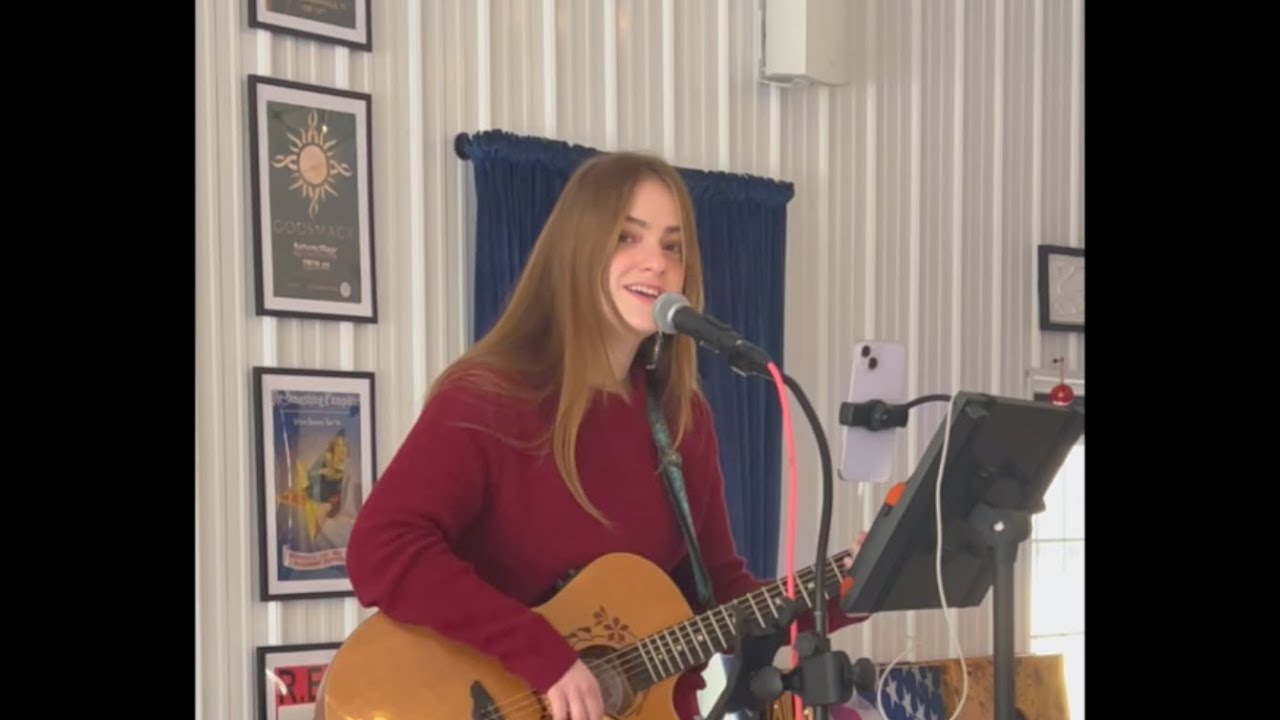 Brigit Cook covers Something in the Orange - YouTube